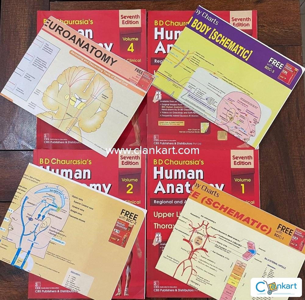 Buy 'Human Anatomy: 1-upper Limb Thorax 2-lower Limb Abdomen & Pelvis 3 ...