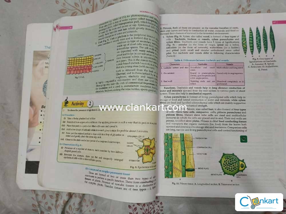 Buy 'Modern's ABC Plus Of Science Biology Class-9 CBSE (2018-19 Session ...
