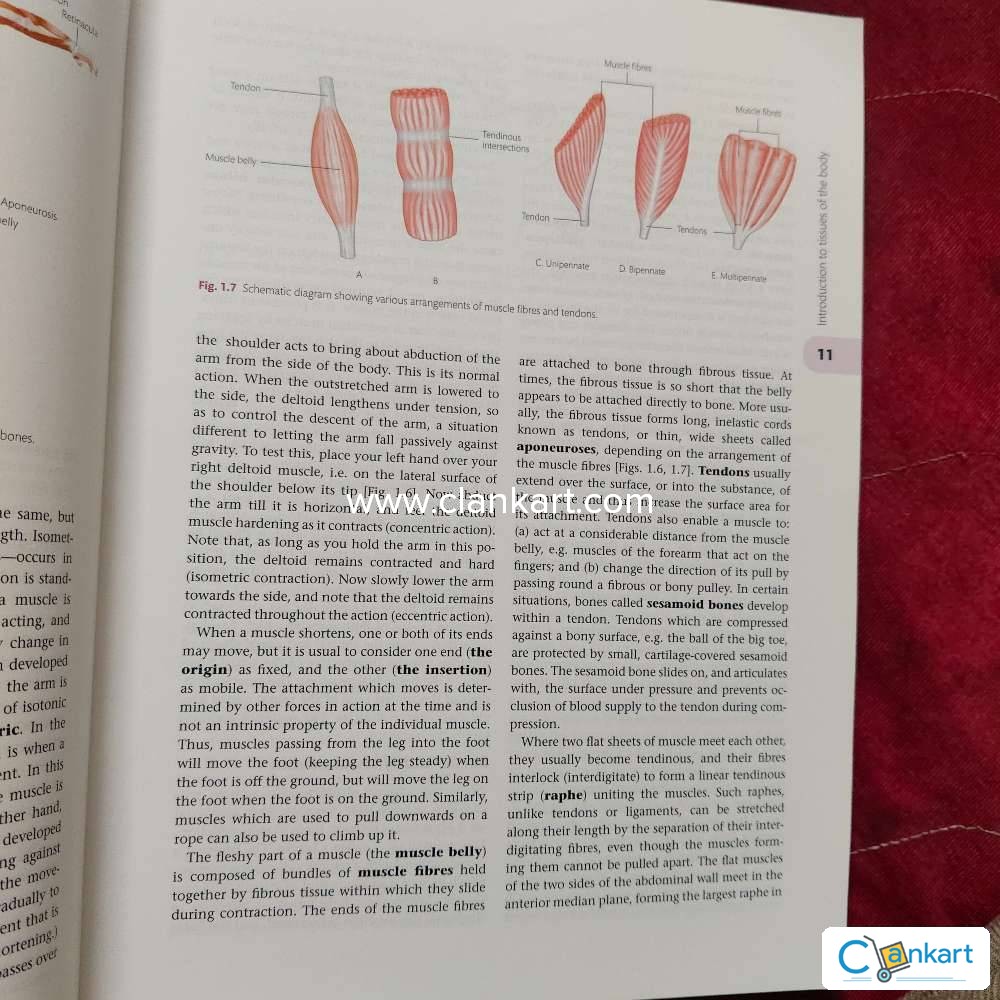 Buy 'Cunningham's Manual Of Practical Anatomy Vol 1 Upper And Lower ...