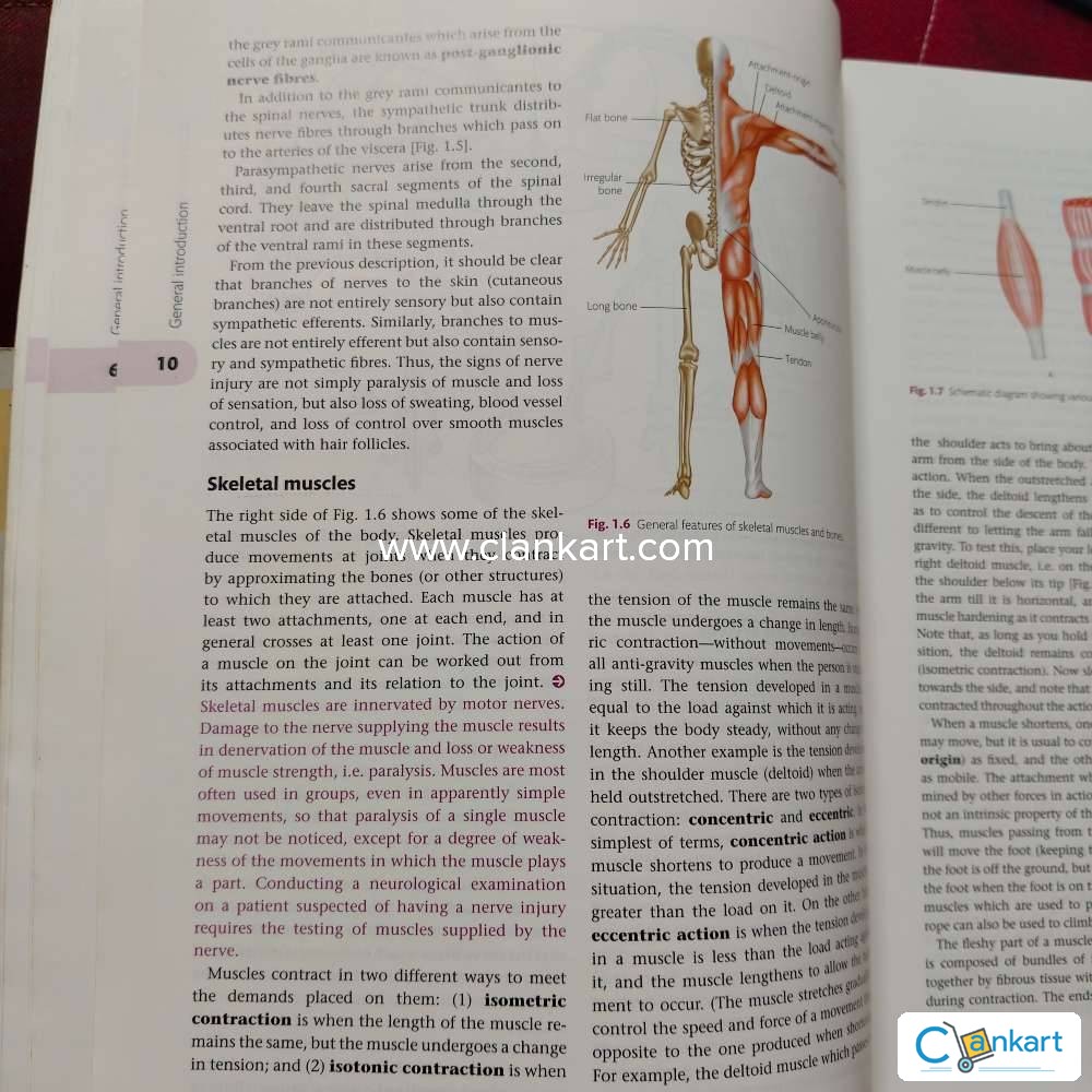 Buy 'Cunningham's Manual Of Practical Anatomy Vol 1 Upper And Lower ...