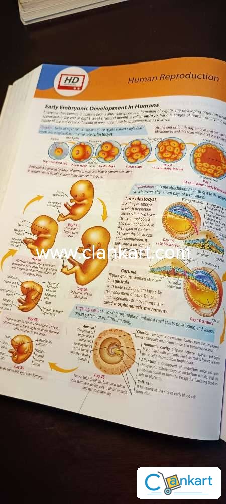 Buy 'BIOLOGY MTG NEET OBJECTIVE NCERT AT YOUR FINGERTIPS (2024 SPECIAL ...