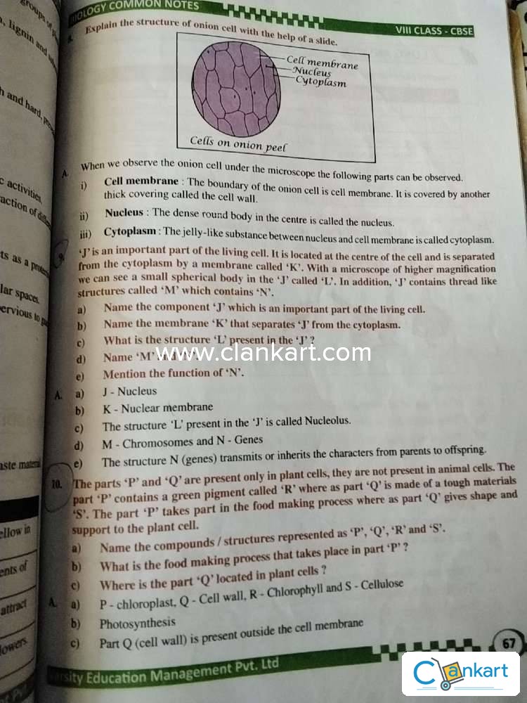 Buy 'CLASS 8 SCIENCE VOL2 STUDY MATERIAL' Book In Excellent Condition ...