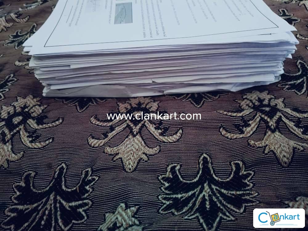 Buy 'Class 10 Worksheets And Sample Question Papers' Book In Excellent ...