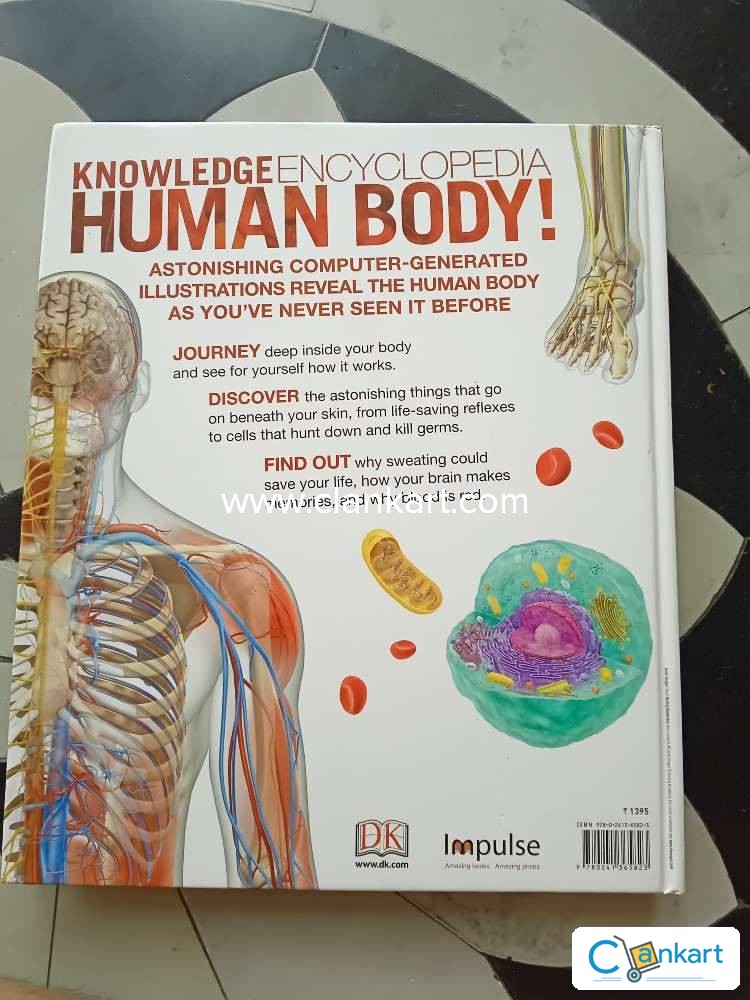 Buy 'DK Knowledge Encyclopedia: Human Body !' Book In Excellent ...