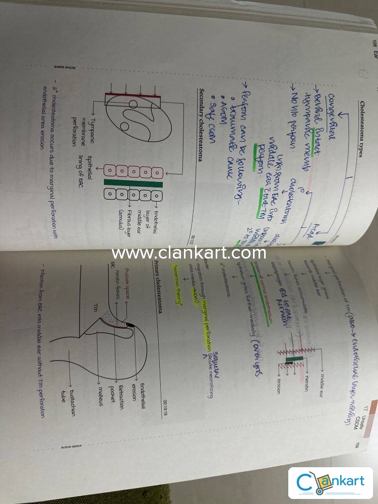Buy 'ENT (M4)-Marrow Transcript-Based Notes (from Video Lectures)' Book ...