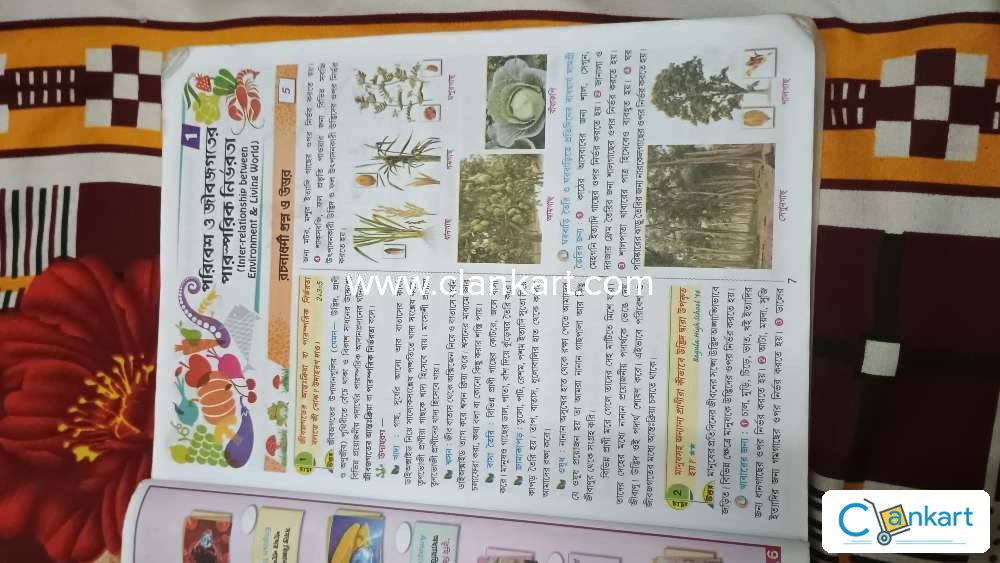 Buy 'ENVIRONMENT AND SCIENCE QUESTION BANK' Book In Fair Condition At ...
