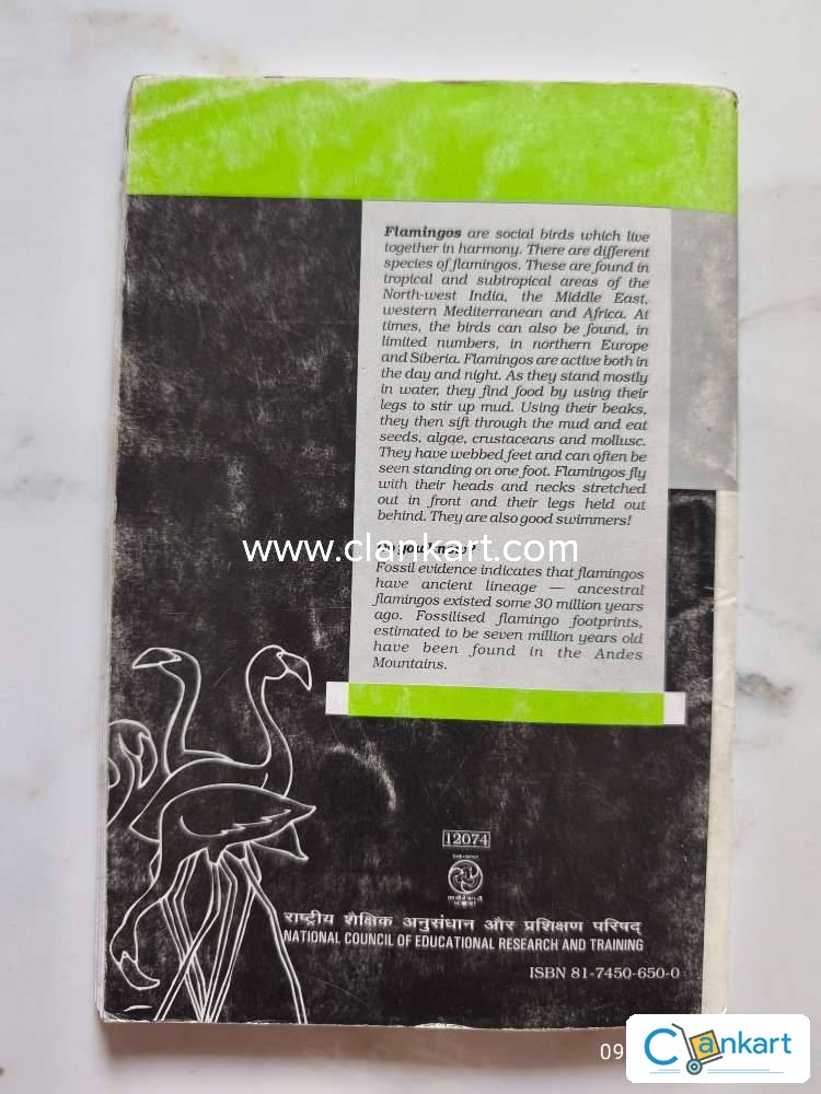 Buy 'Flamingo English Textbook (Core Course) Class XII' Book In ...