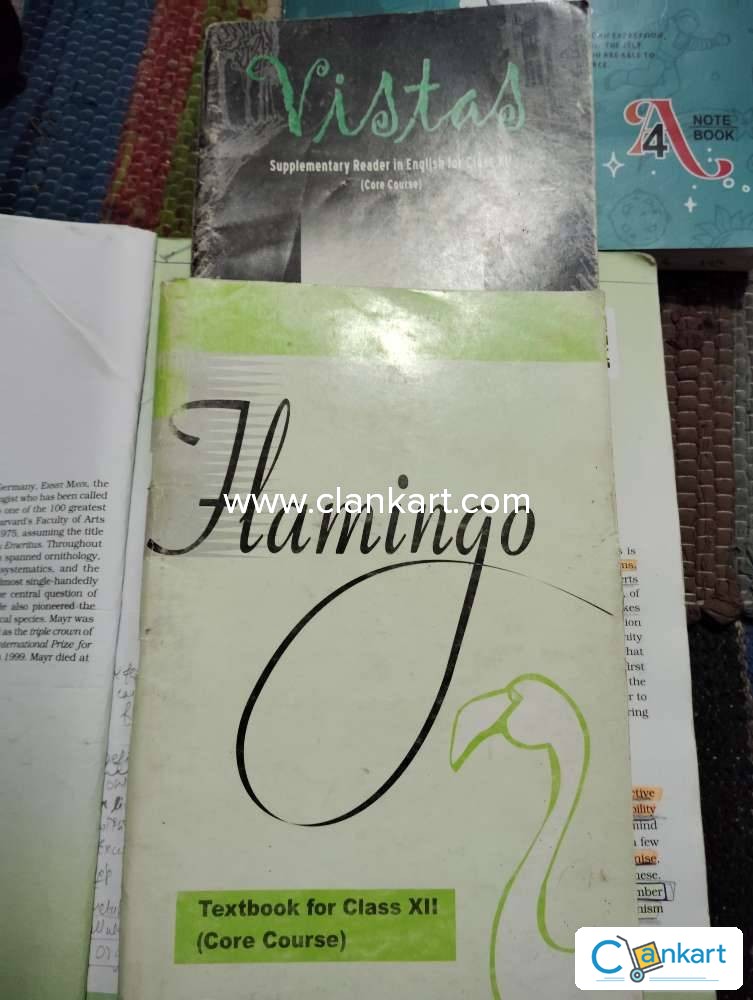 Buy 'Flamingo And Viatas Class 12 English' Book In Good Condition At ...