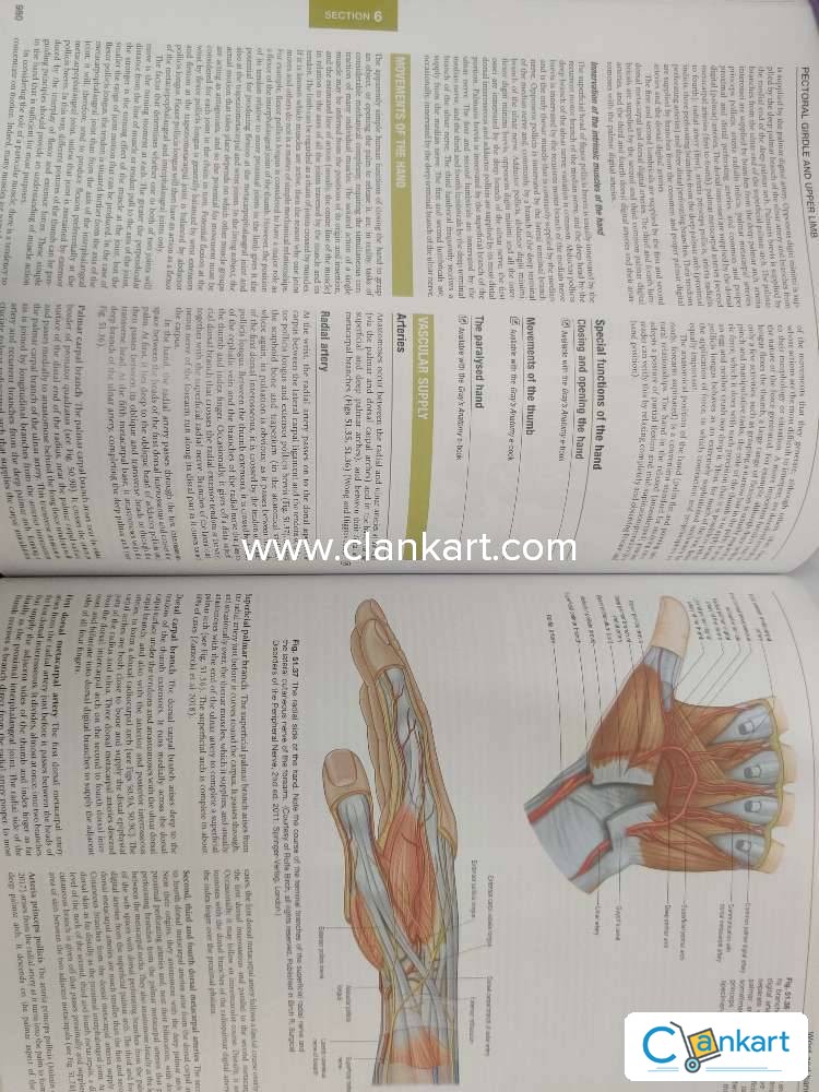 Buy 'Grays Anatomy The Anatomical Basis Of Clinical Practice' Book In ...