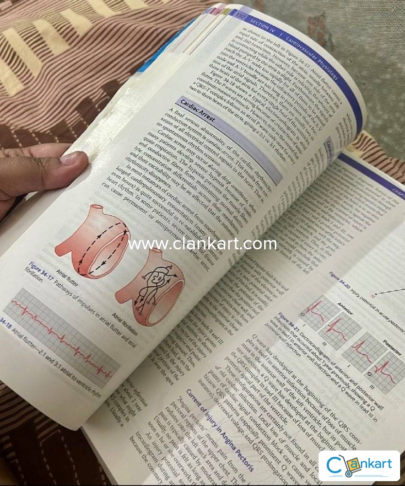 Buy 'Guyton & Hall Textbook Of Medical Physiology: A South Asian ...
