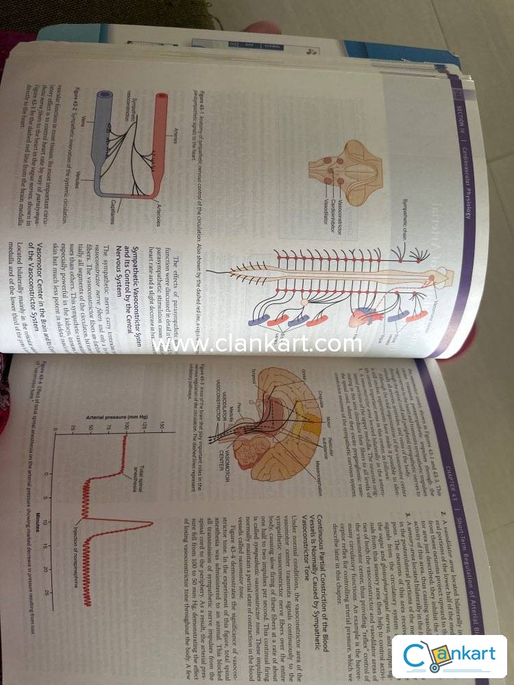 Buy 'Guyton & Hall Textbook Of Medical Physiology (South Asian Edition ...