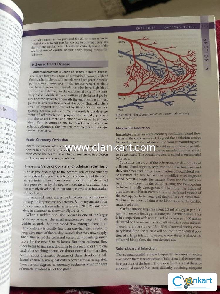 Buy 'Guyton & Hall Textbook Of Medical Physiology (South Asian Edition ...