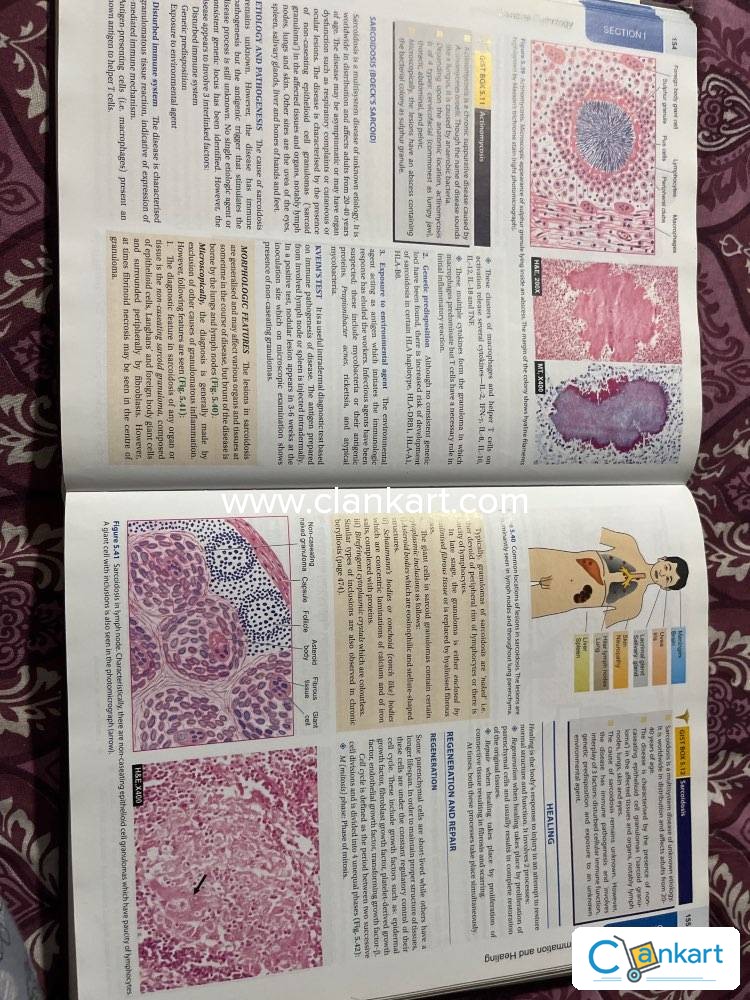 Buy 'Textbook Of Pathology + Pathology Quick Review And MCQs' Book In ...