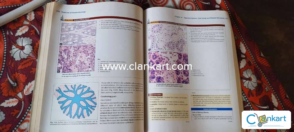 Buy 'Inderbir Singh's Textbook Of Human Histology: With Color Atlas And ...