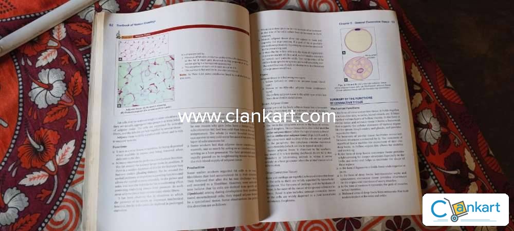 Buy 'Inderbir Singh's Textbook Of Human Histology: With Color Atlas And ...