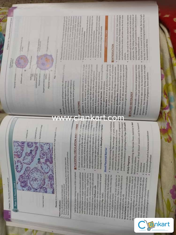 Buy 'Inderbir Singh's Textbook Of Human Histology' Book In Excellent ...