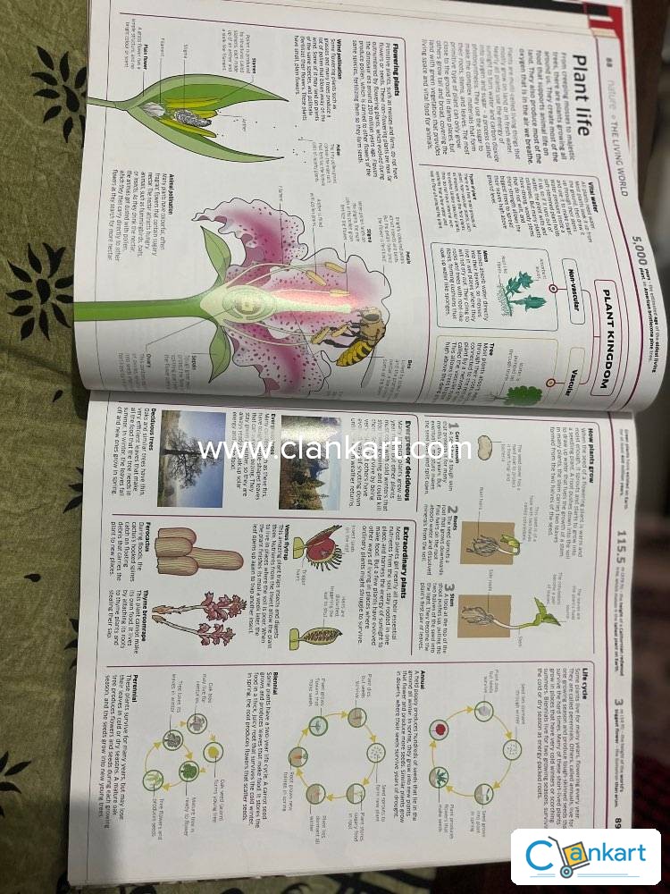 Buy 'Knowledge Encyclopedia' Book In Excellent Condition At Clankart.com