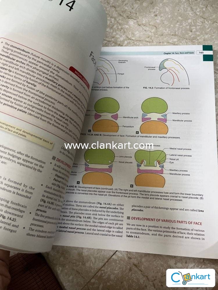 Buy 'Inderbir Singh - Human Enbryology' Book In Excellent Condition At ...