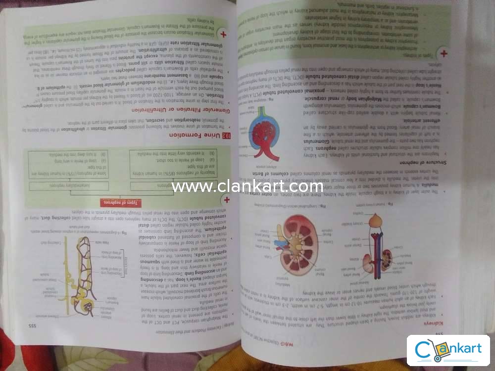 Buy 'MTG NCERT At Your Fingertips Biology Class 11+12' Book In ...