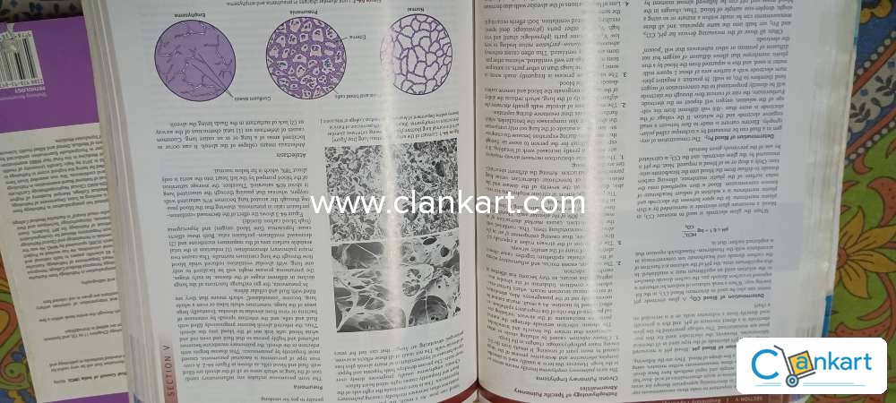Buy 'Guyton & Hall Textbook Of Medical Physiology: A South Asian ...