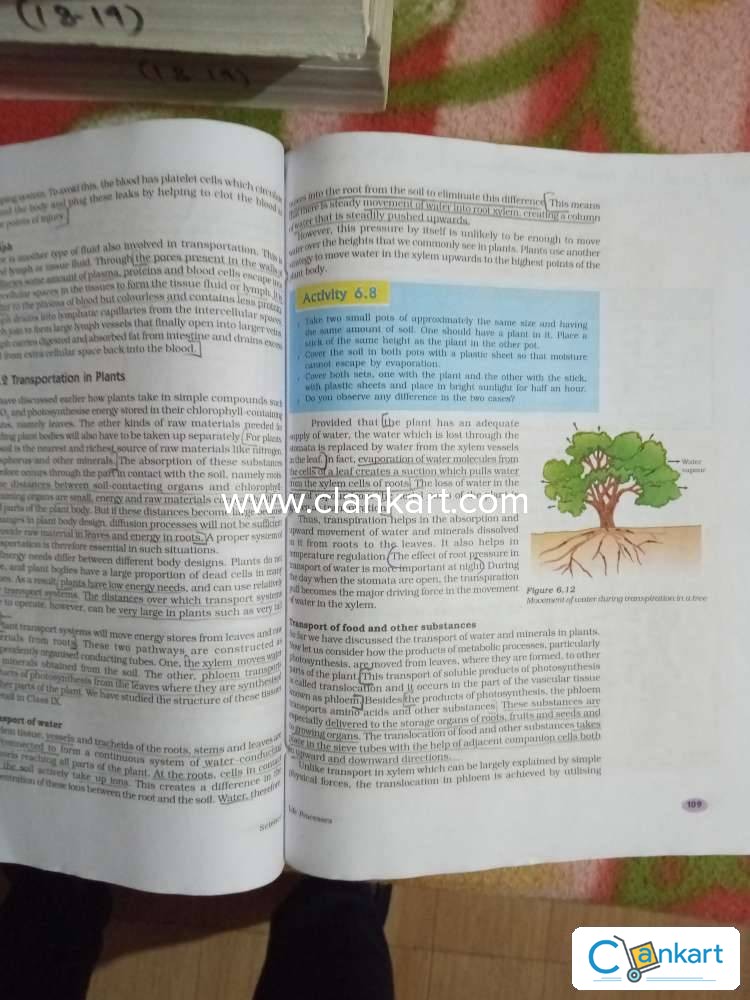 Buy 'Science Textbook For Class X' Book In Excellent Condition At ...