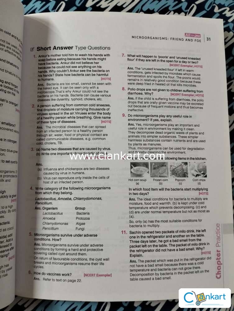 Buy 'NCERT Based Science CBSE Class 08' Book In Excellent Condition At ...