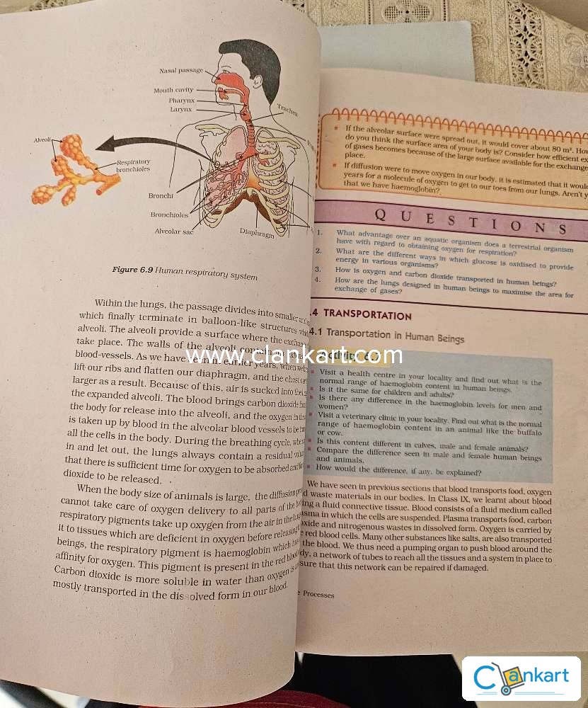 Buy 'NCERT Science Textbook For Class 10' Book In Excellent Condition ...