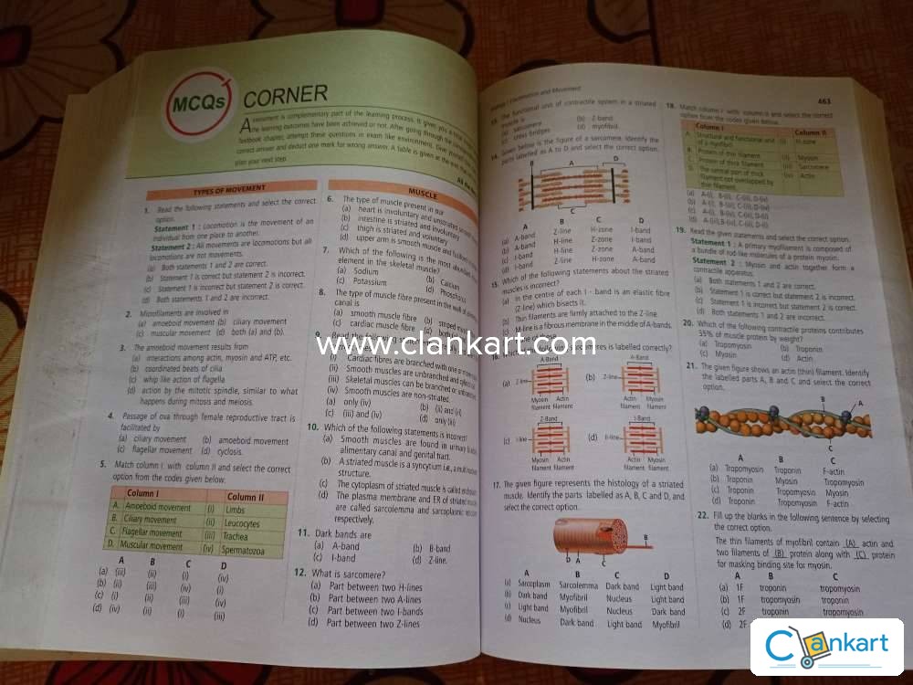 Buy 'NCERT At Your Fingertips (biology) By MTG Learning Media Pvt Ltd ...