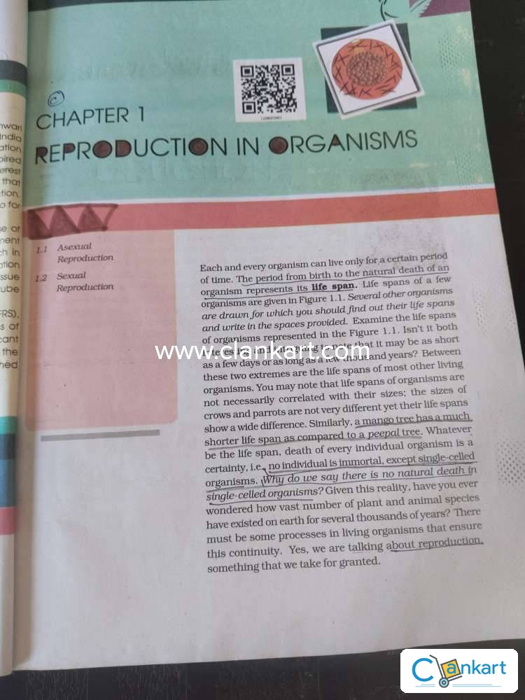 Buy 'NCERT Biology For Class 12th' Book In Good Condition At Clankart.com