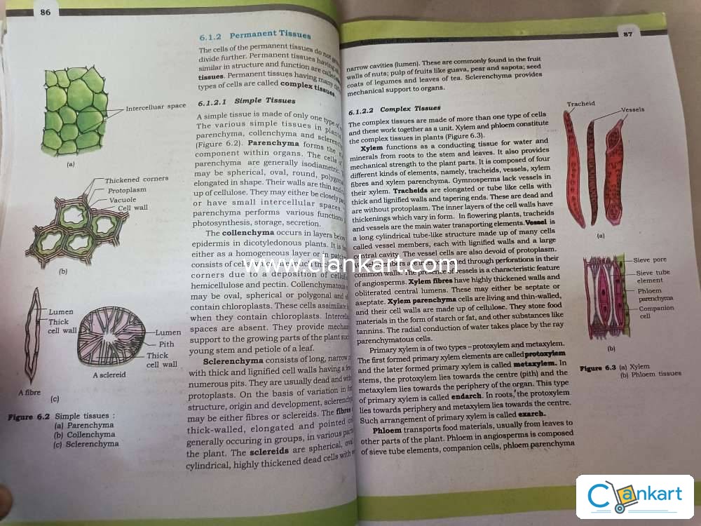 Buy 'Biology' Book In Fair Condition At Clankart.com