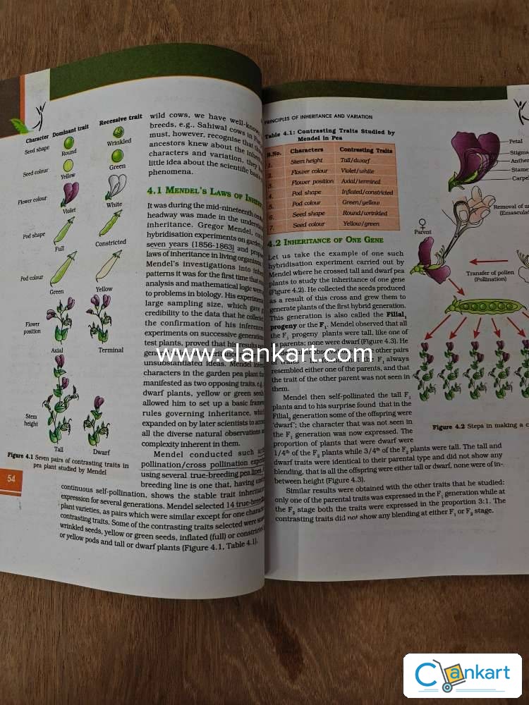 Buy 'NCERT Biology Class 12' Book In Excellent Condition At Clankart.com