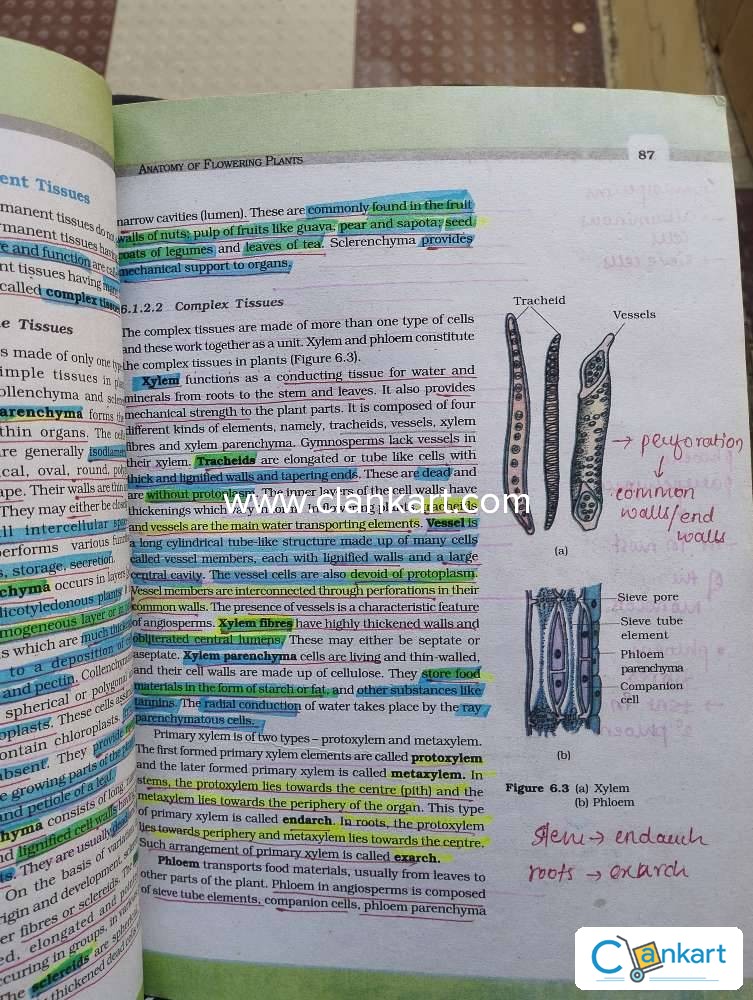 Buy 'Textbook For Class 11 Biology' Book In Good Condition At Clankart.com