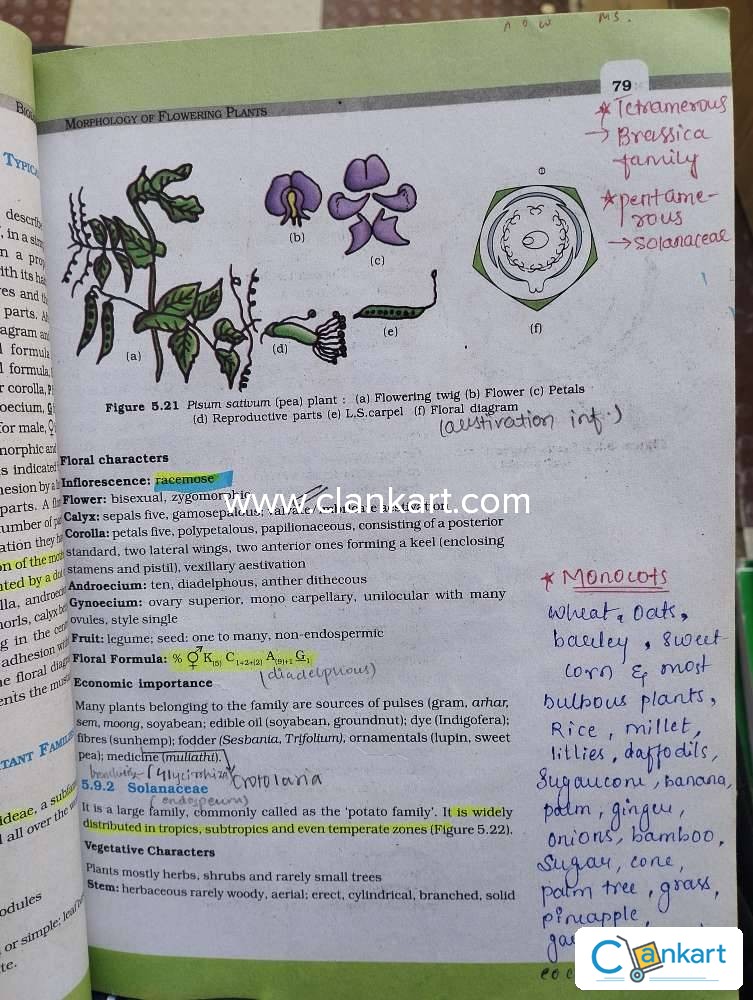Buy 'Textbook For Class 11 Biology' Book In Good Condition At Clankart.com