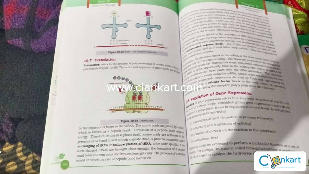 Buy 'BotanyNCERT Textbooks Book Ts For 12 Th' Book In Excellent ...