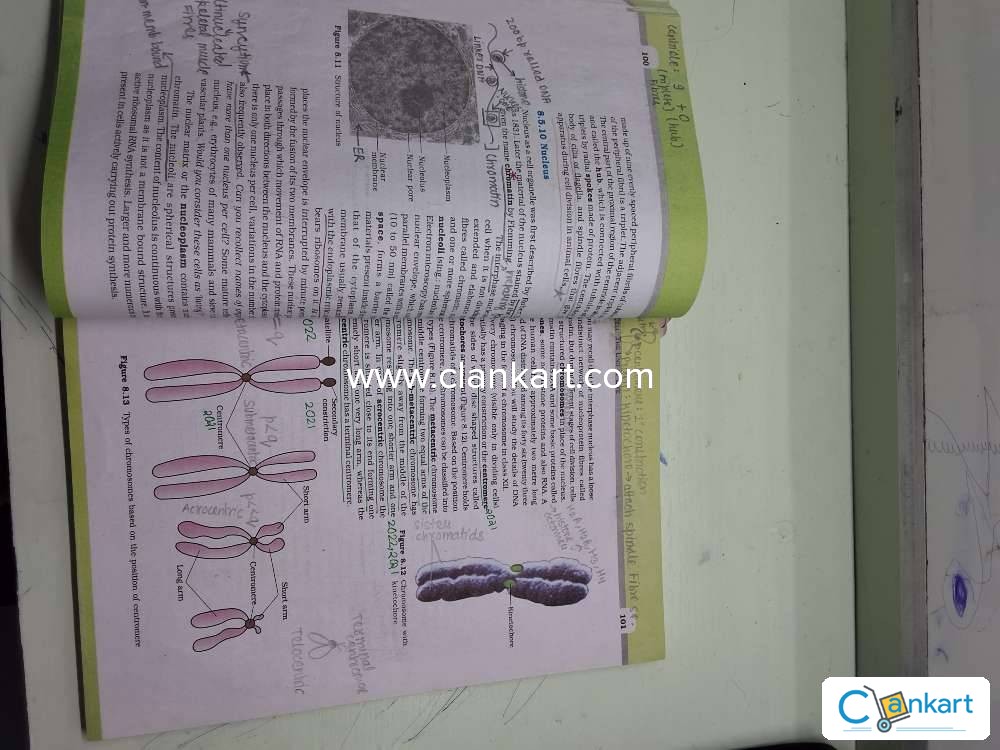 Buy 'Ncert Biology Class 11' Book In Good Condition At Clankart.com