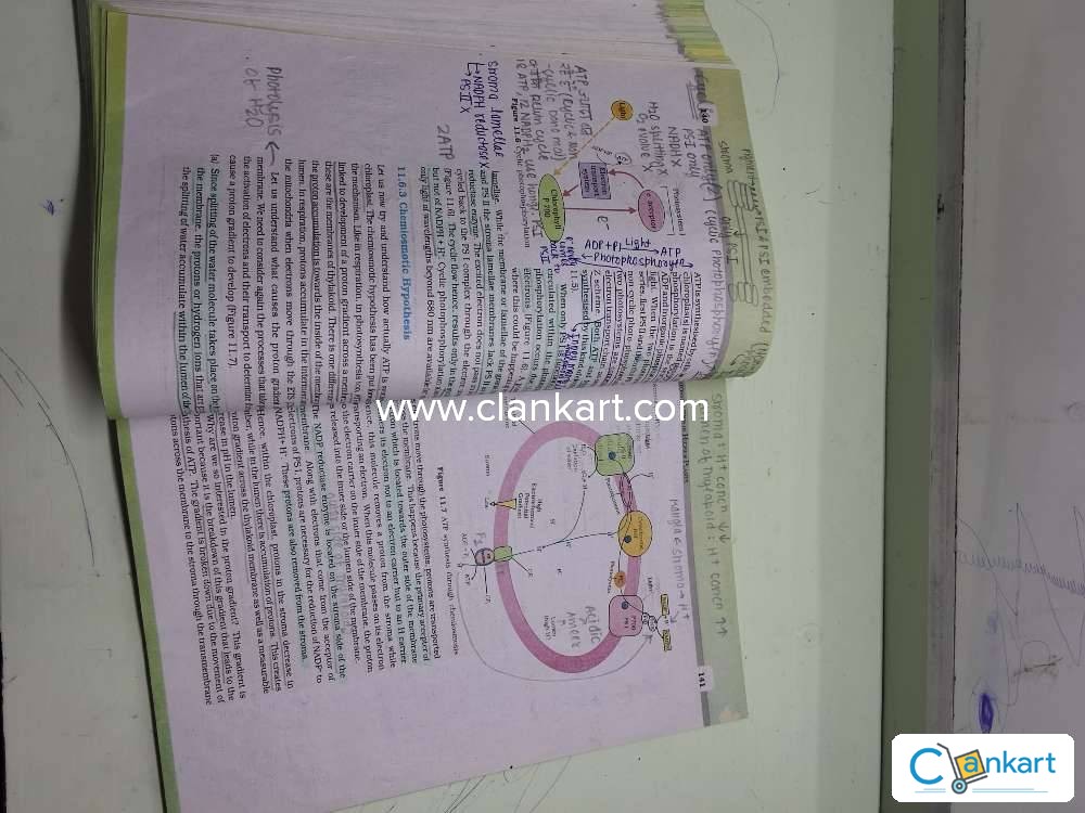 Buy 'Ncert Biology Class 11' Book In Good Condition At Clankart.com