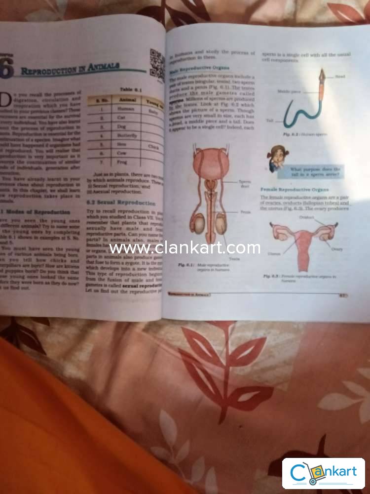 Buy 'Science Textbook For Class 8th' Book In Excellent Condition At ...