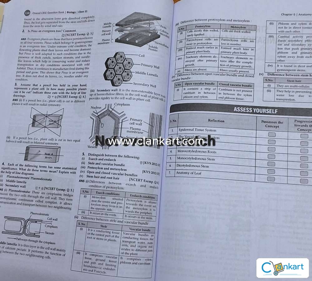 Buy 'Oswaal CBSE Question Bank Class 11 Biology For 2026 Exam' Book In ...