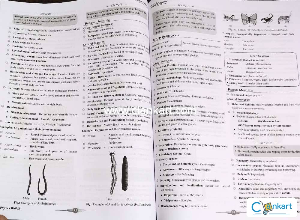 Buy 'Biology, Physics, Chemistry -Totally 30 Books-Class XI XII' Book ...