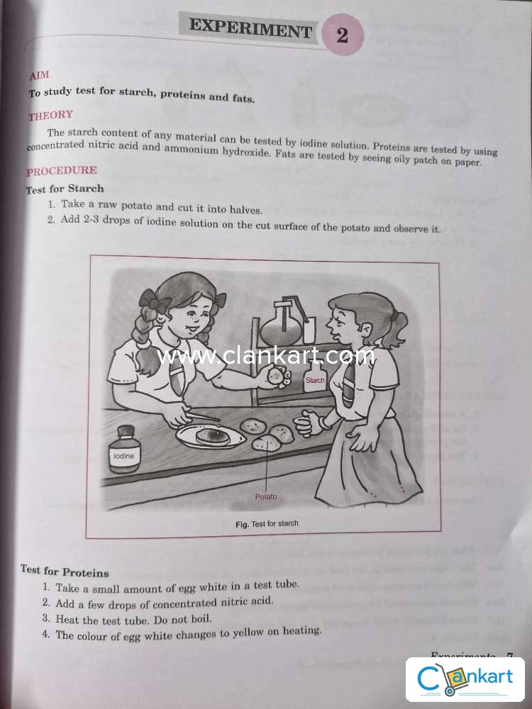 Buy 'Science, Lab Practical (Subject Enrichment Activities)' Book In ...