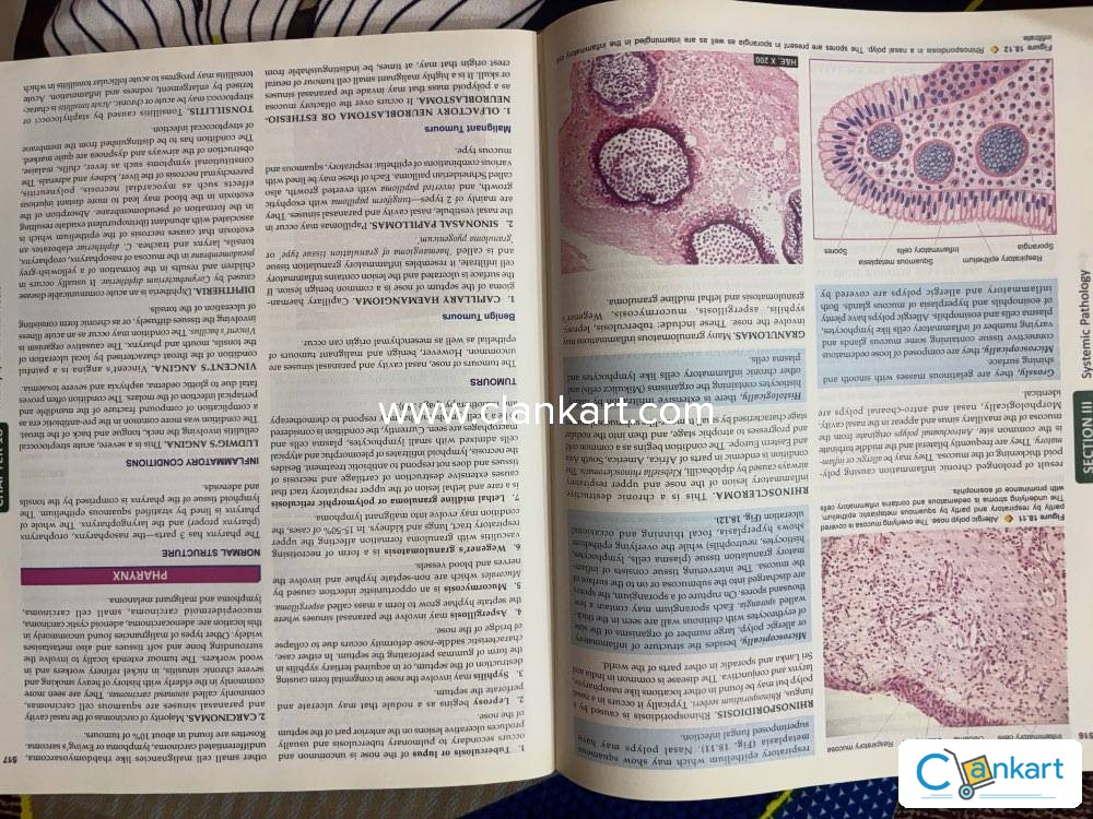 Buy 'Textbook Of Pathology/ Pathology Quick Review And MCQs' Book In ...